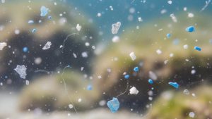 Microplastics: A Small Particle, A Big Problem - Karusindo