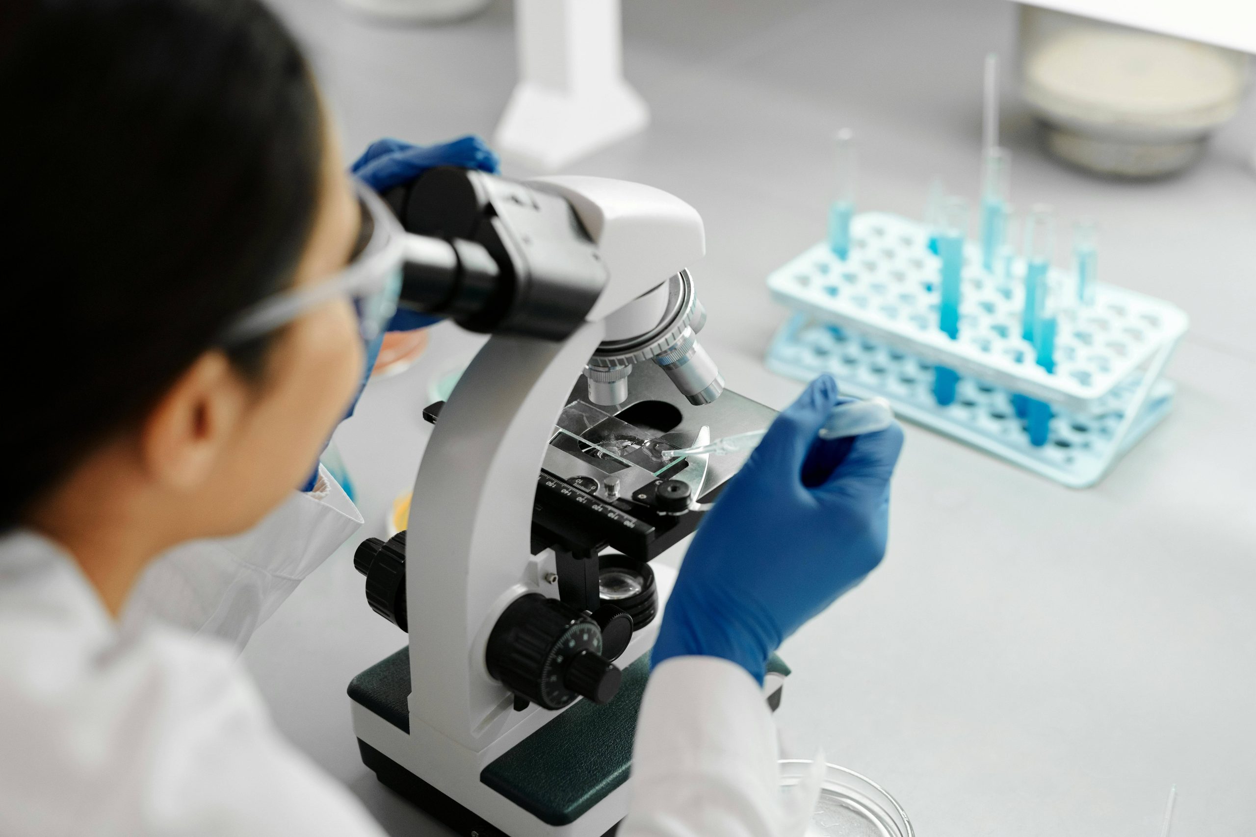 Proficiency Testing for Porcine DNA in Meat (Halal) | LGC AXIO Halal ...
